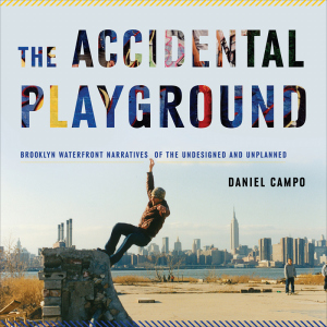 The Accidental Playground reviewed | Progressive Geographies